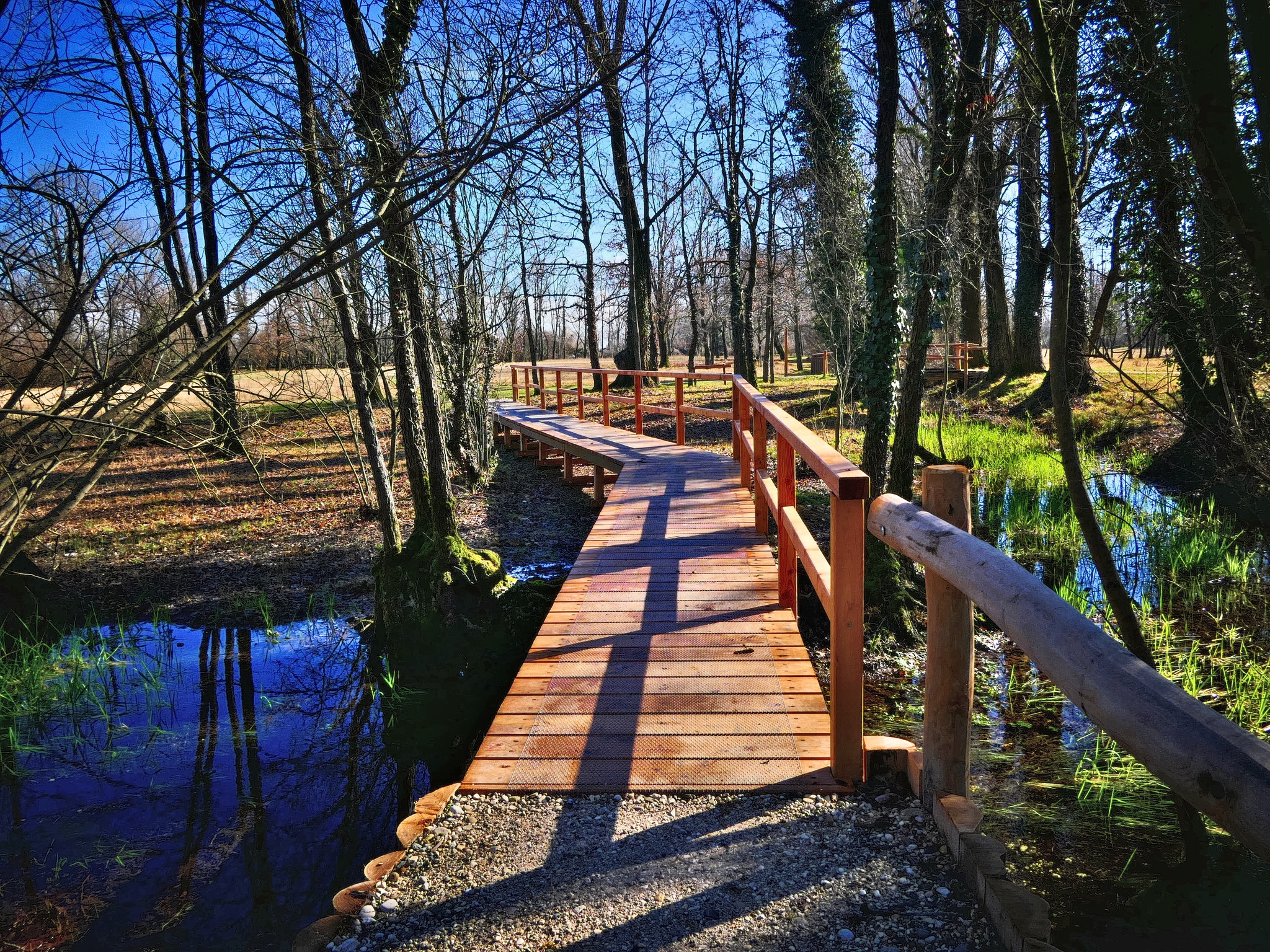 Al Parco delle Risorgive di Codroipo 500 nuove piante | La Vita Cattolica