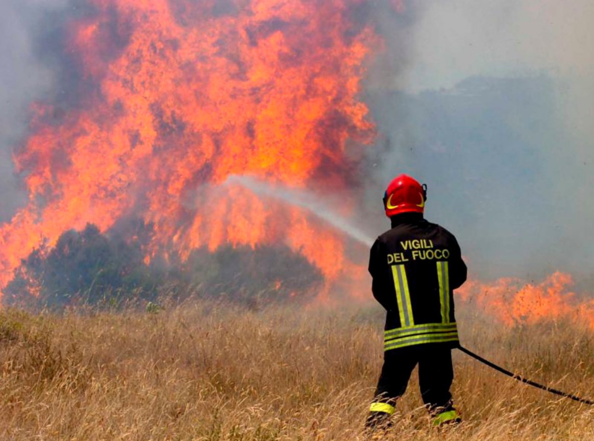 Prevenzione incendi boschivi, contributi per 900 mila euro | La Vita ... Prevenzione incendi boschivi, contributi per 900 mila euro | La Vita ...