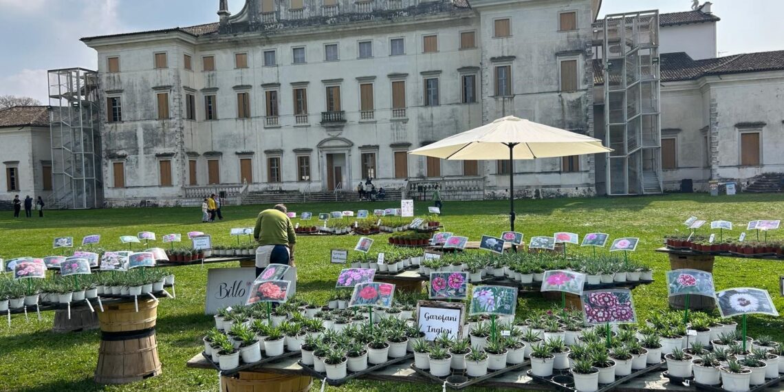 Codroipo. Torna “Nel Giardino del Doge Manin”, tra piante ed eventi ...